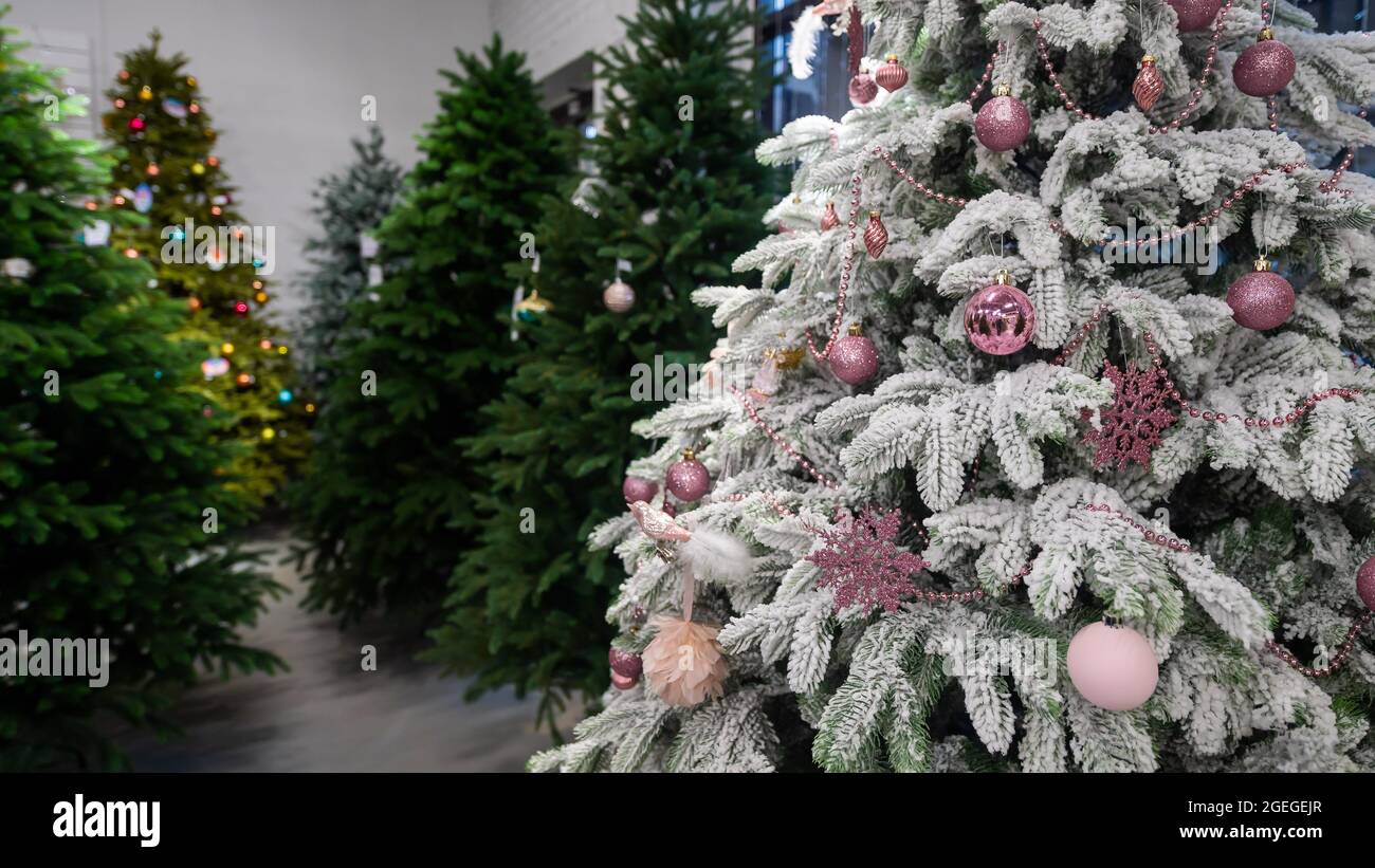 Selection of artificial Christmas trees in the store Stock Photo - Alamy