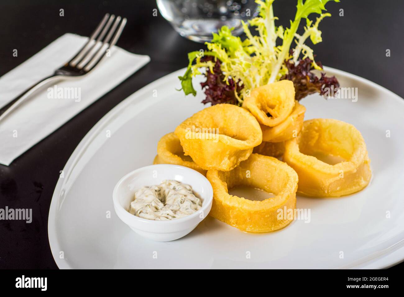 Octopus octopus and squid hi-res stock photography and images - Alamy