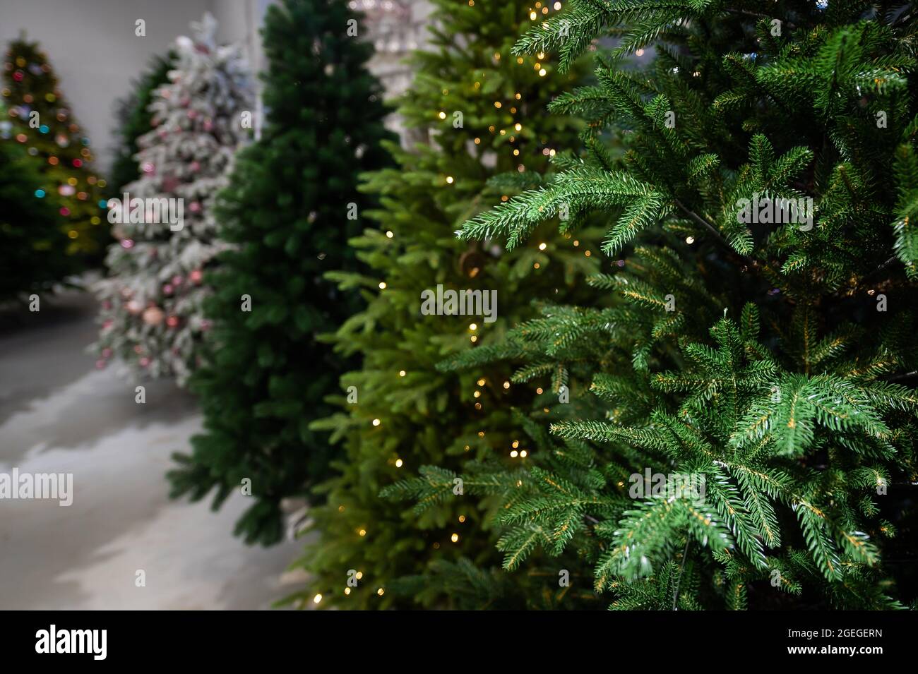 Supermarket christmas section hi-res stock photography and images - Alamy