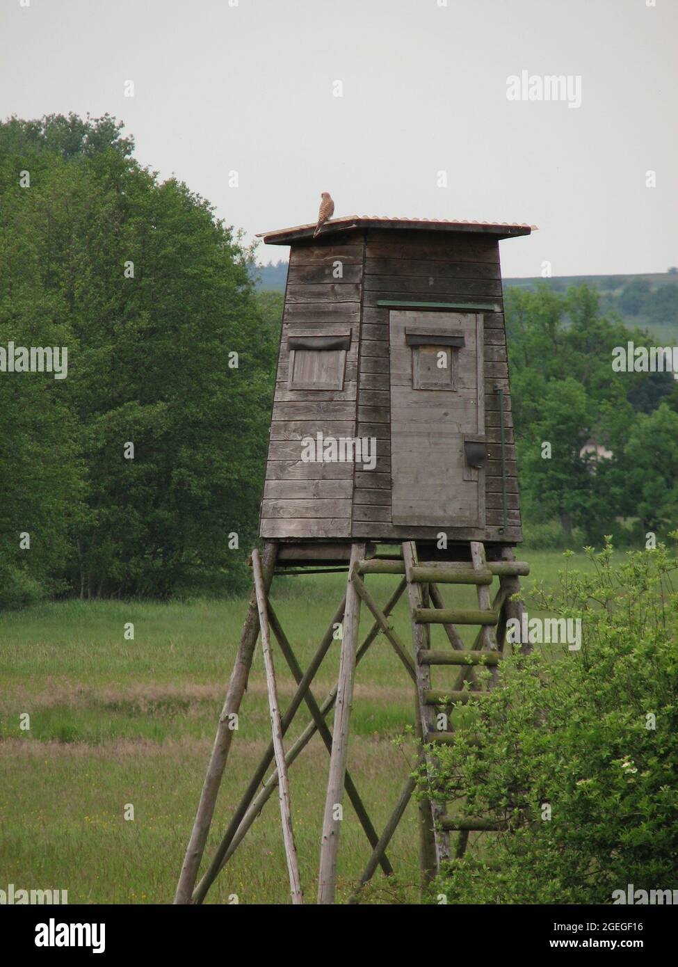 Small wooden observation hut in a field Stock Photo - Alamy