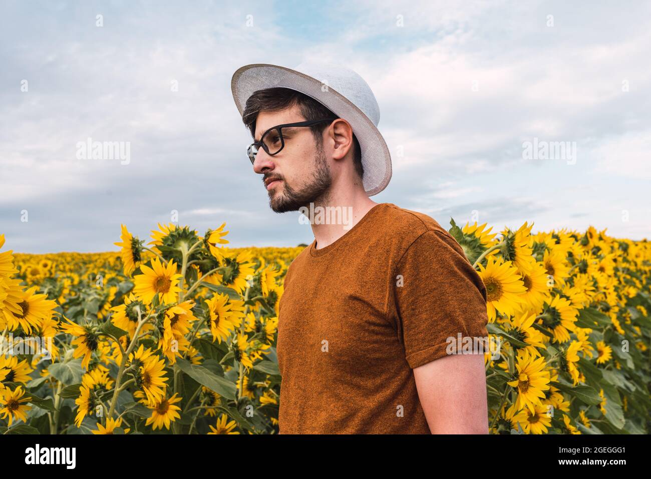Hipster man in sunflower field hi-res stock photography and images - Alamy