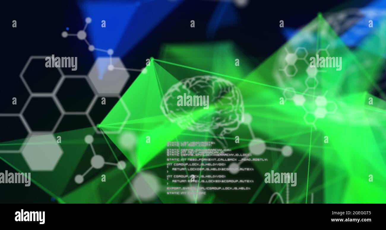Human brain and computer data with geometric shapes Stock Photo - Alamy