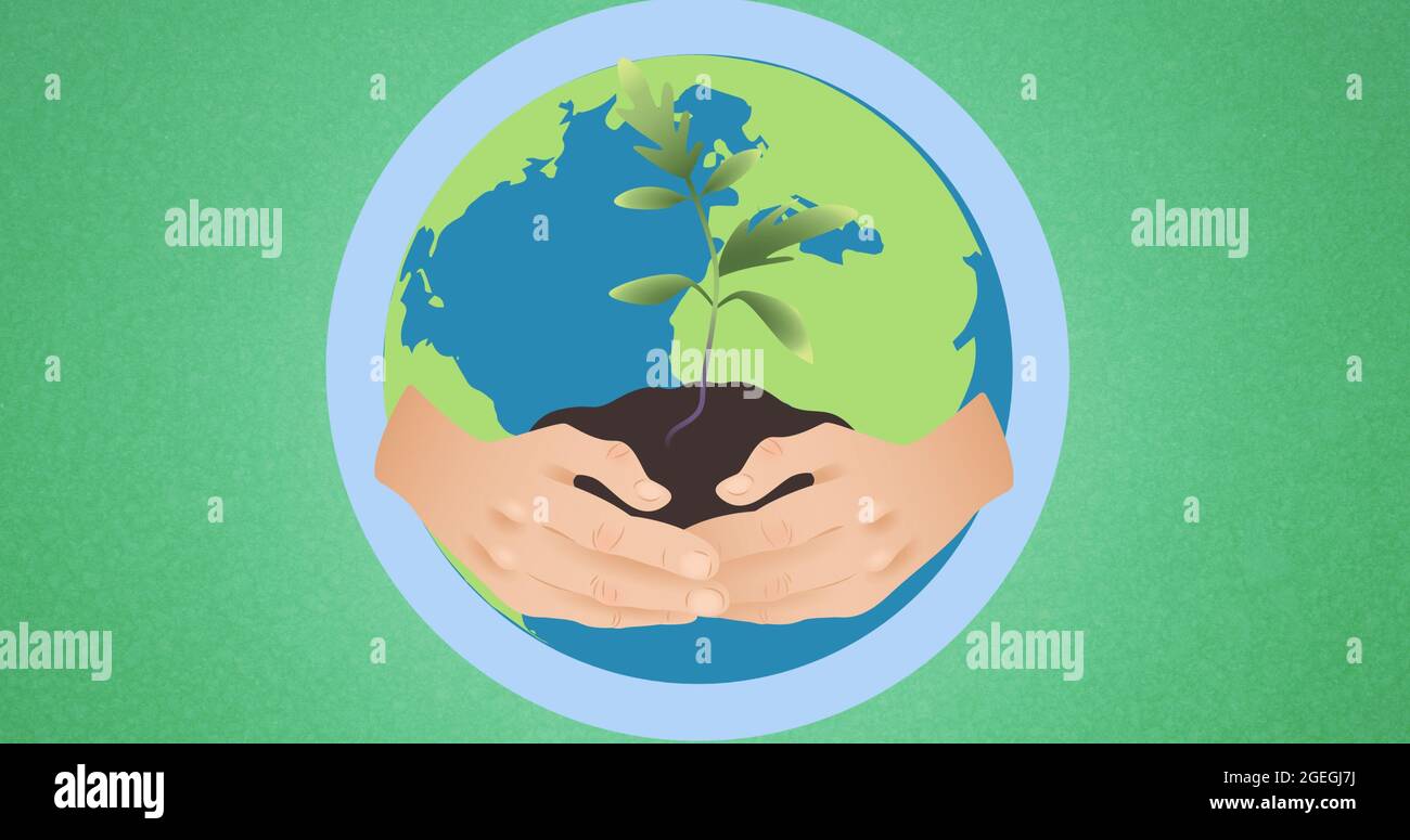 Composition of hands holding plant over globe on green background Stock ...