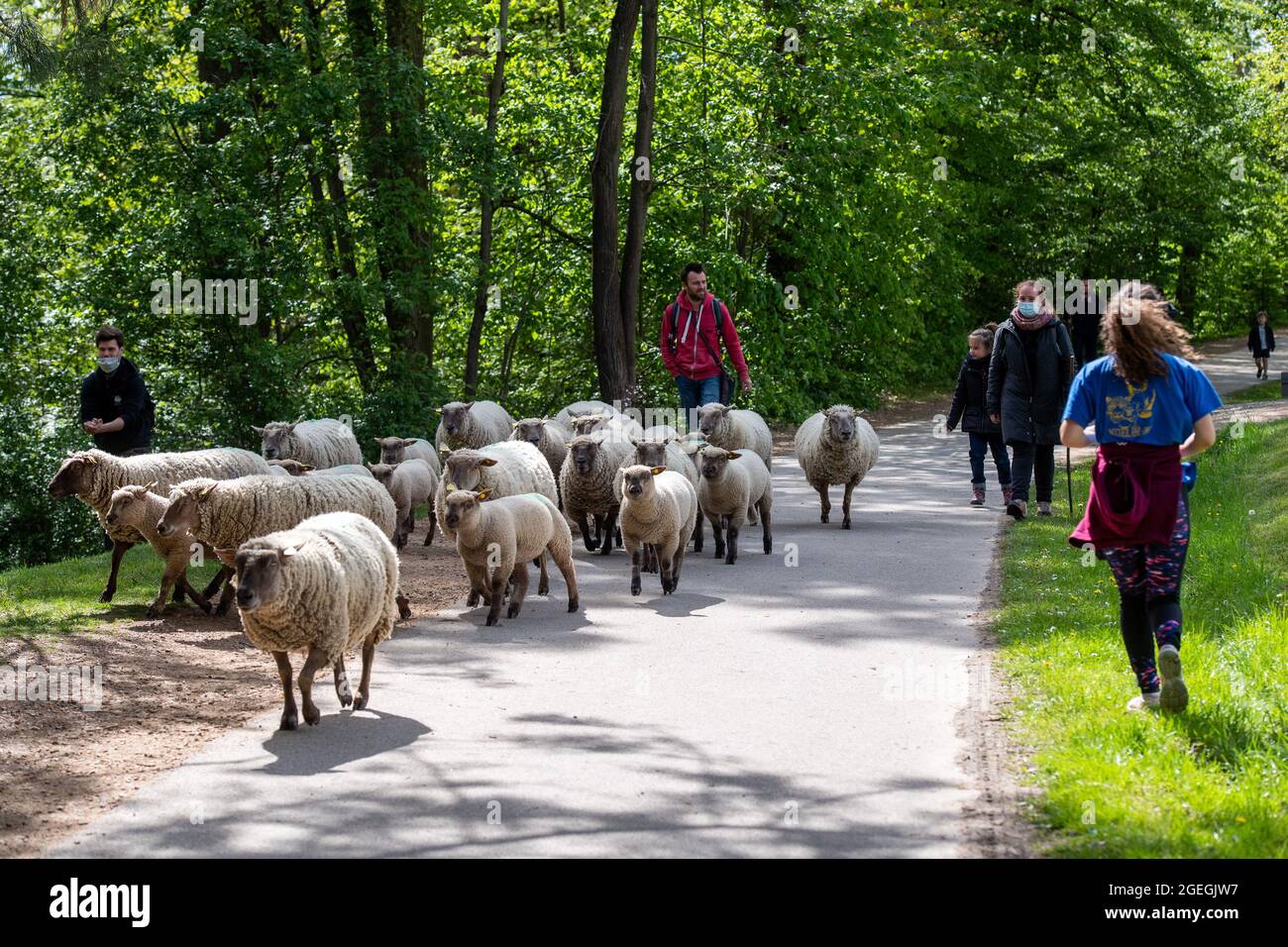 Montceaux l'Etoile (central eastern France), 2021/05/05: Lacroix Laval ...