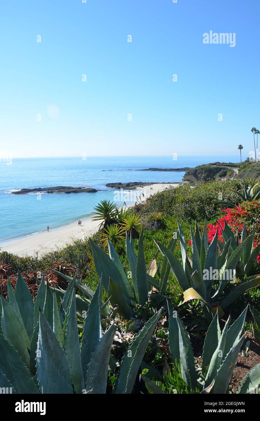 Scenic tropical landscape with sandy beaches overlooking the Pacific ...