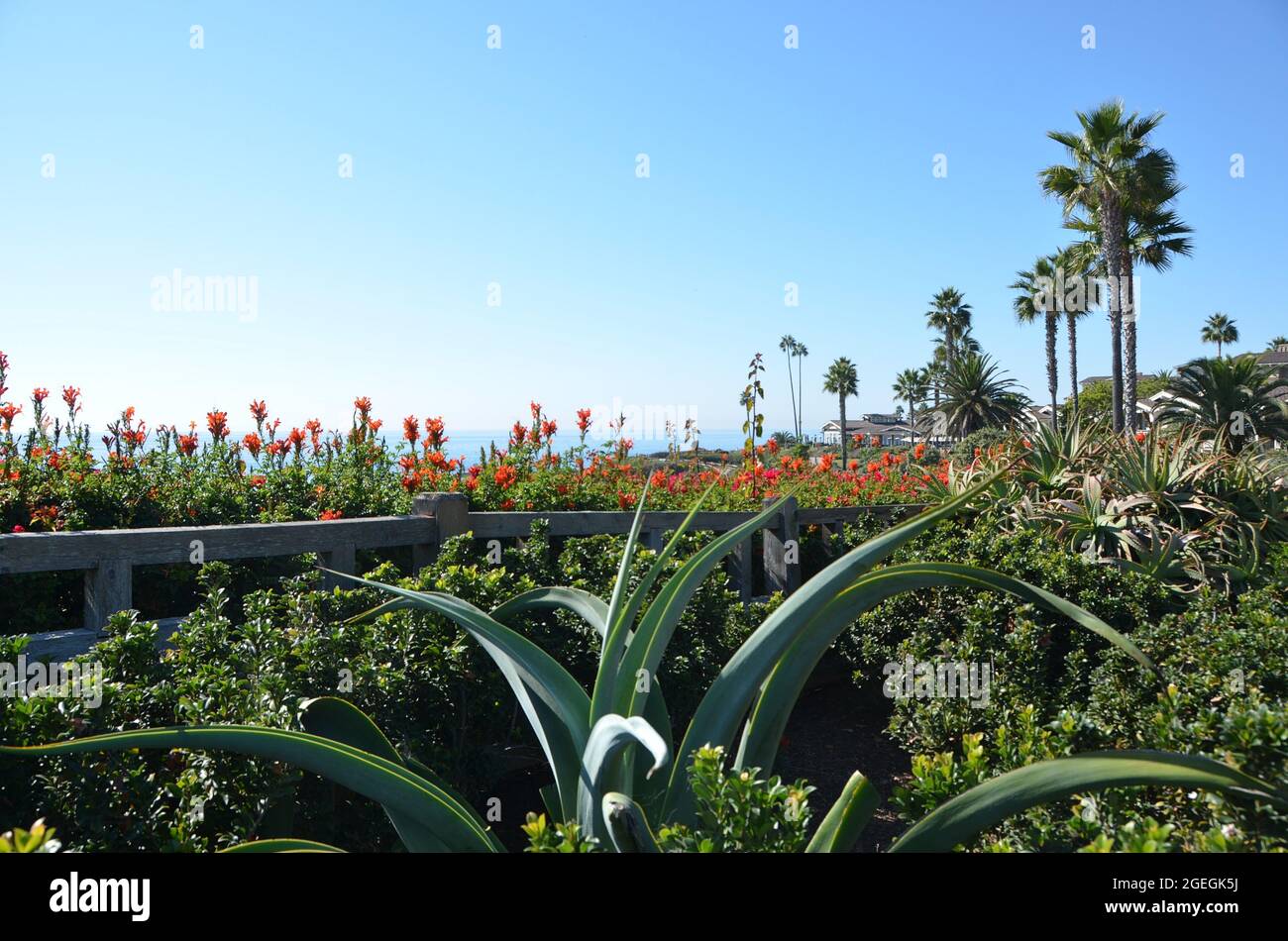 Scenic tropical landscape with sandy beaches overlooking the Pacific ...