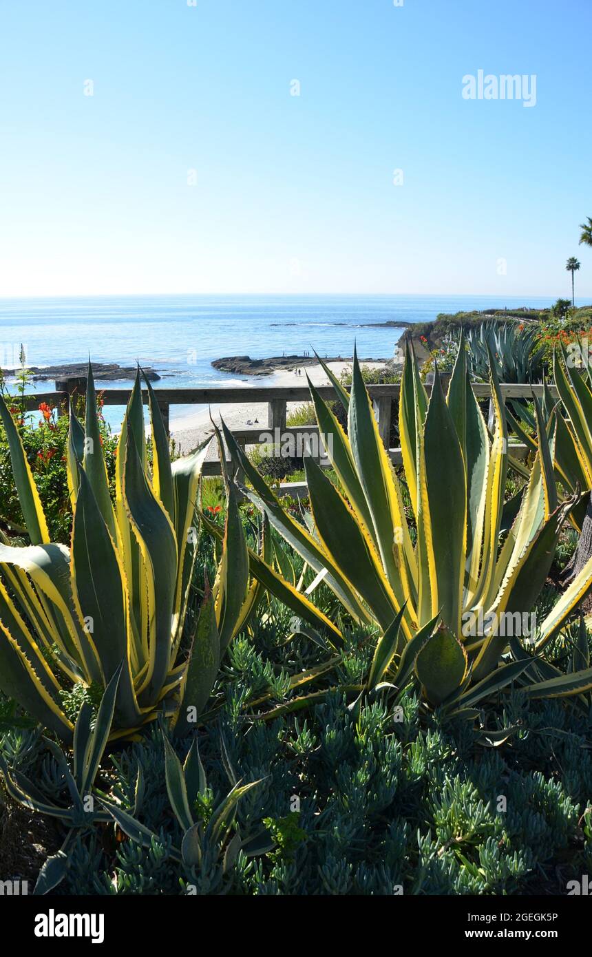 Scenic tropical landscape with sandy beaches overlooking the Pacific ...