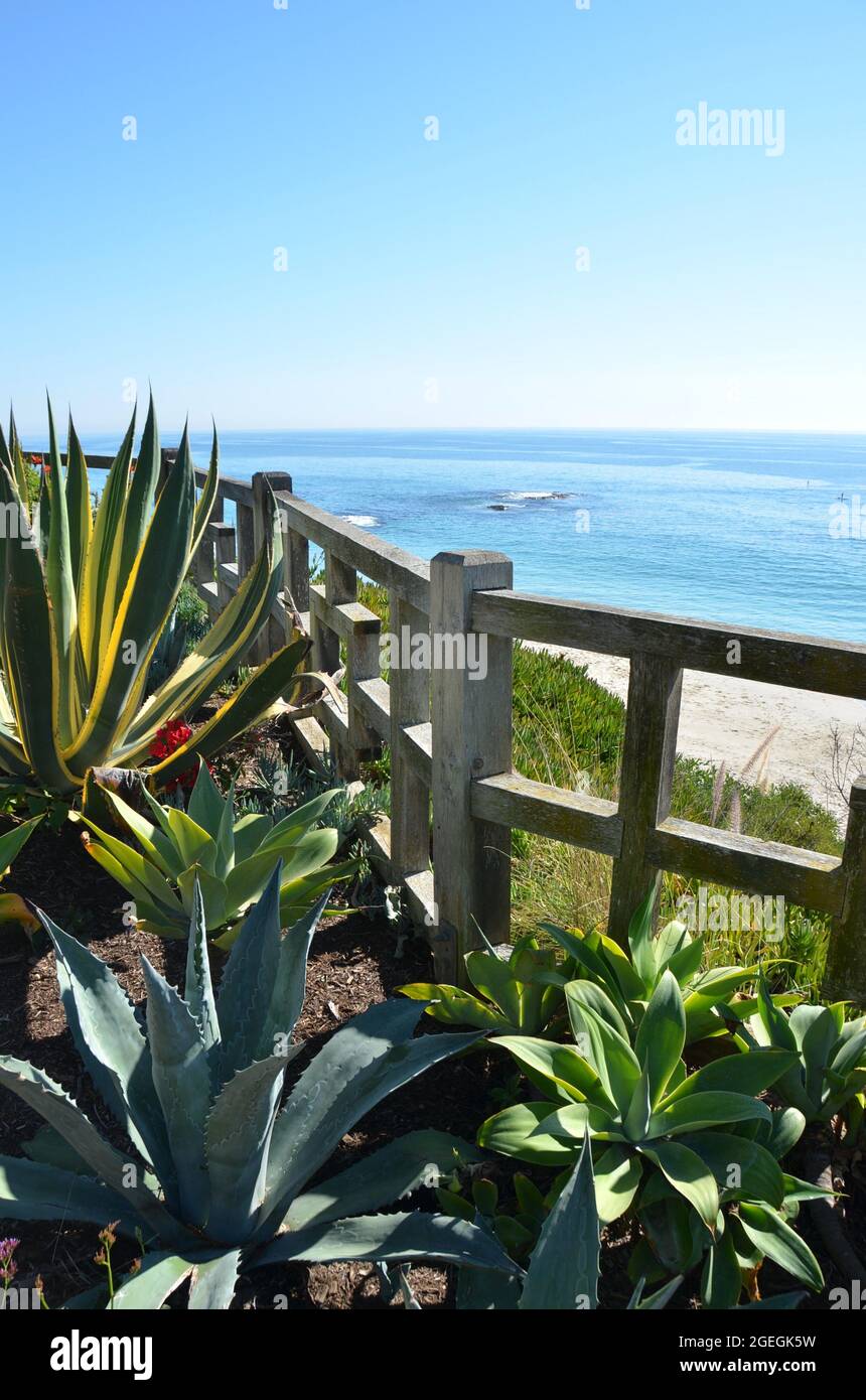 Scenic tropical landscape with sandy beaches overlooking the Pacific ...