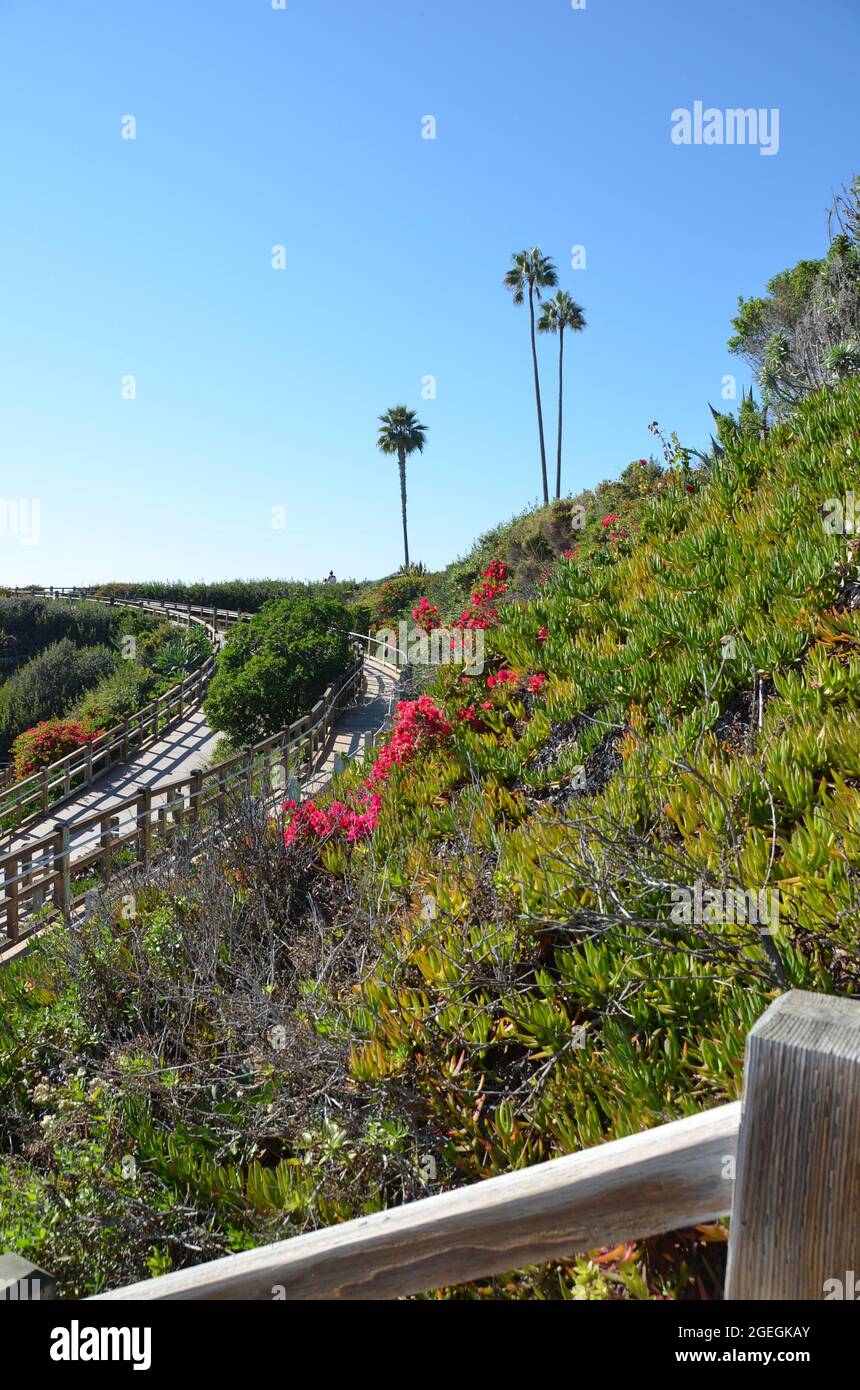 Scenic tropical landscape with sandy beaches overlooking the Pacific ...