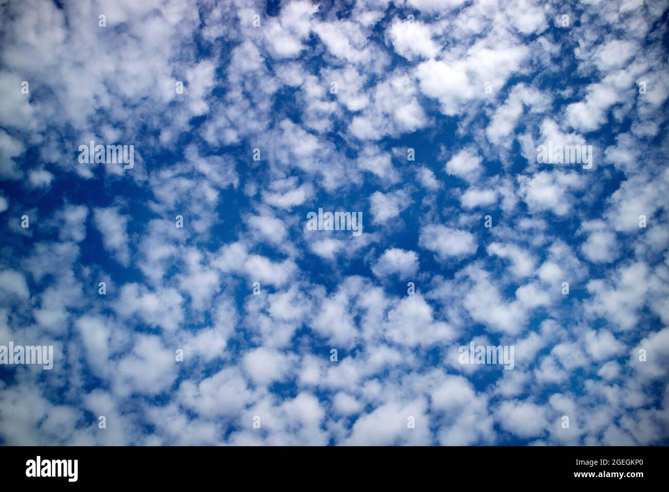 Photo shoot of the composition of the clouds in a blue sky Stock Photo ...