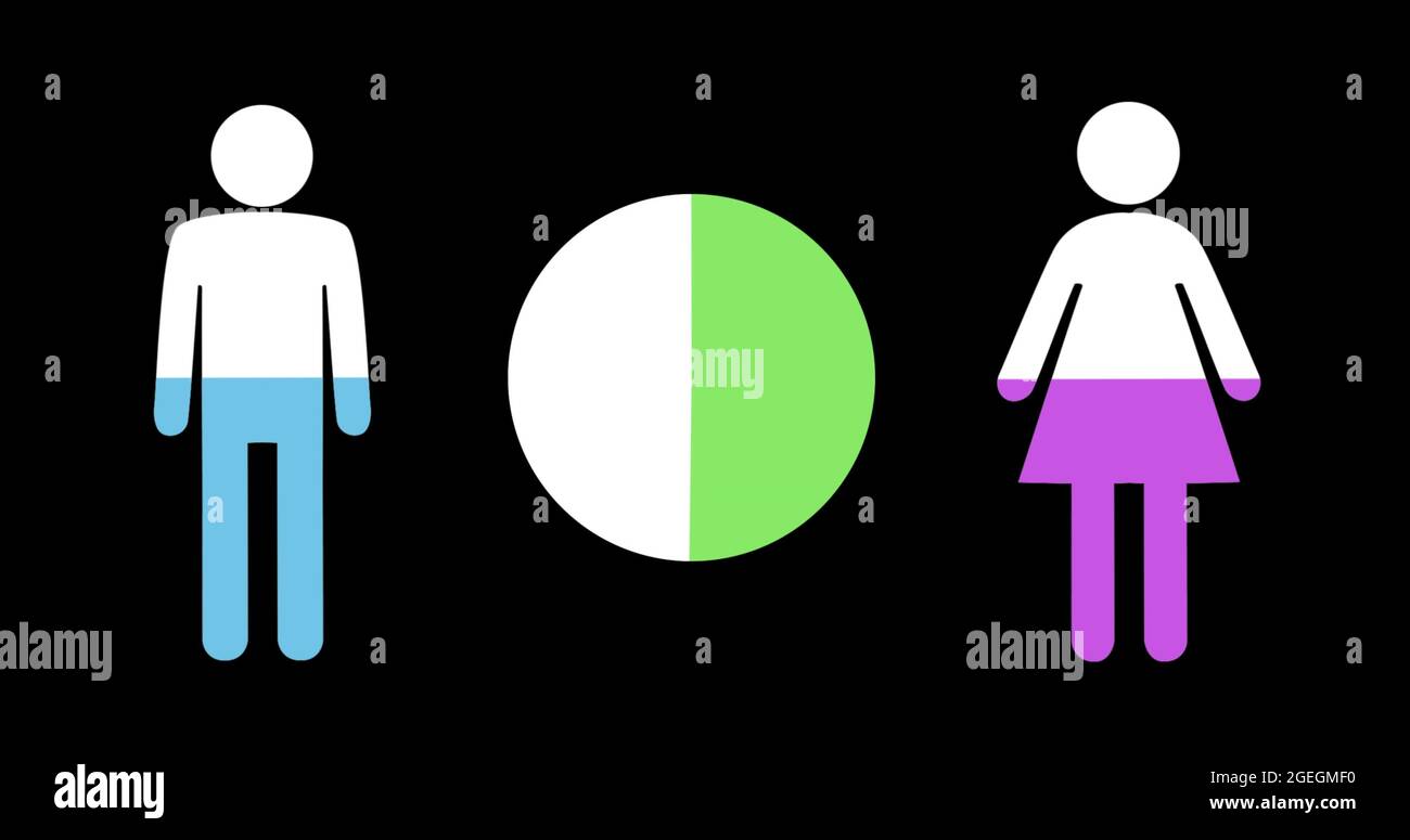 Male and female shapes and pie chart filling up with colours 4k Stock ...