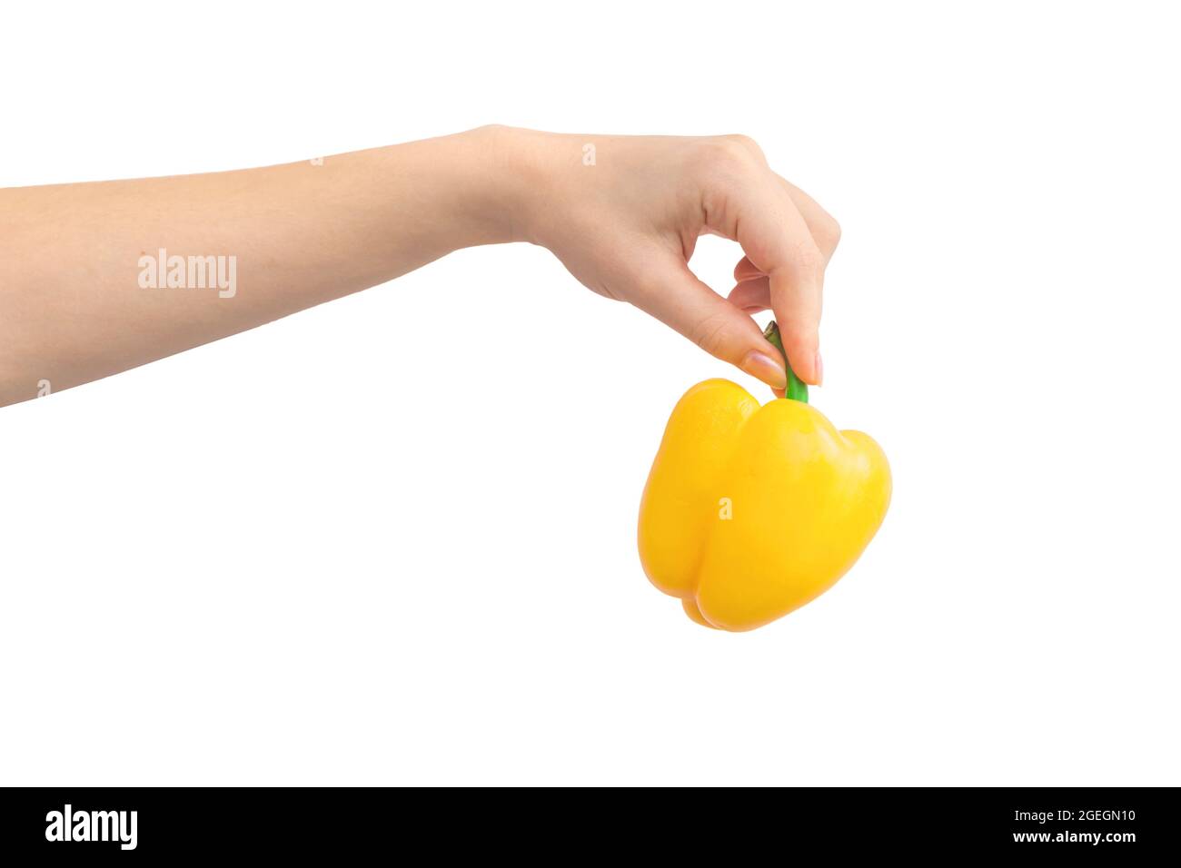 Hand with yellow sweet pepper in hand isolated on white background ...