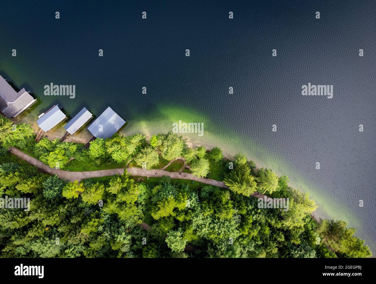 Fir trees and a lake from above - top down view Stock Photo - Alamy