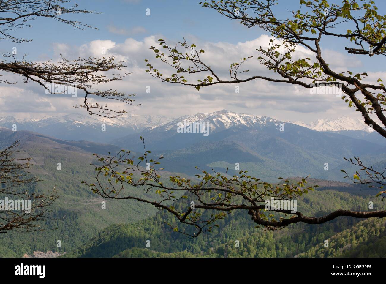 Lago-Naki mountain peak. Russia Stock Photo - Alamy