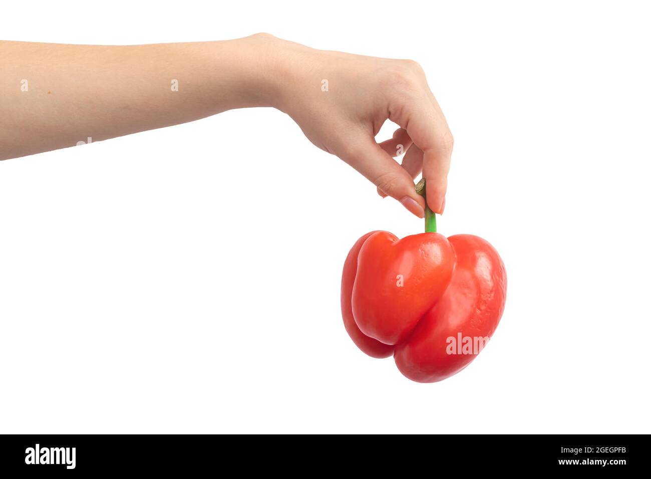 Hand with red sweet pepper in hand isolated on white background Stock ...