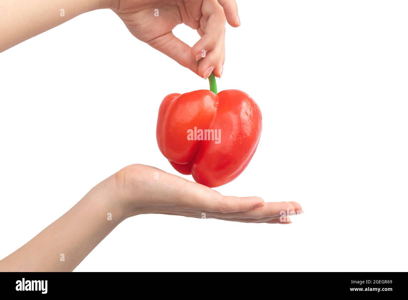 Woman holding red sweet pepper in hands isolated on white background ...
