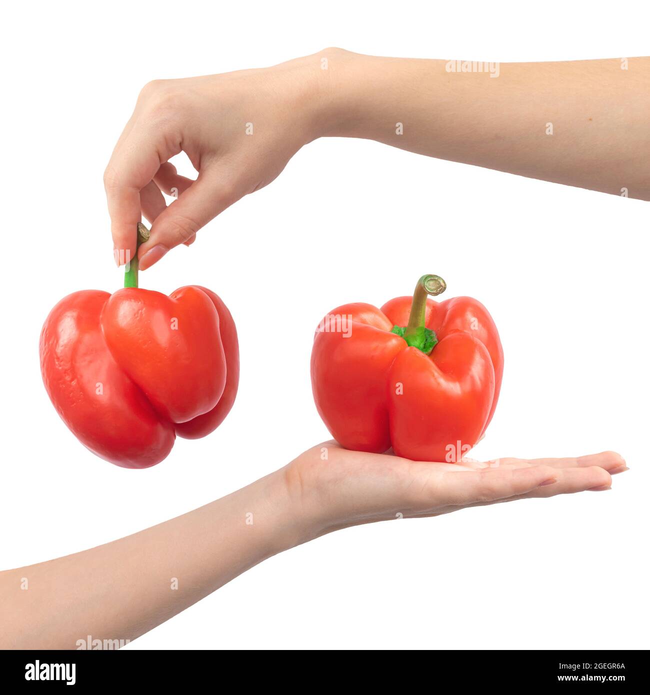 Collage red sweet bell pepper in hand isolated on a white background ...