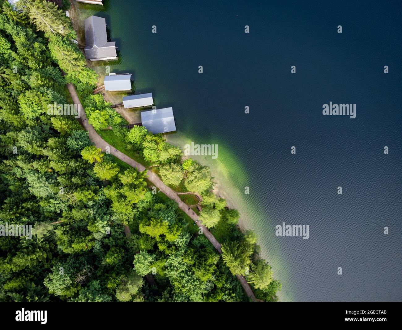 Fir trees and a lake from above - top down view Stock Photo - Alamy