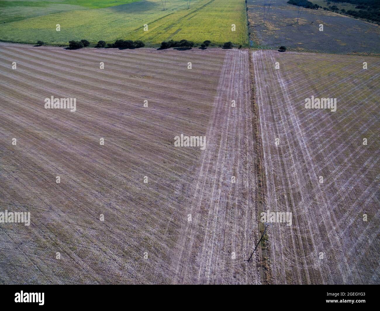 Aerial View of sown field in the Argentine countryside, Pampas province ...