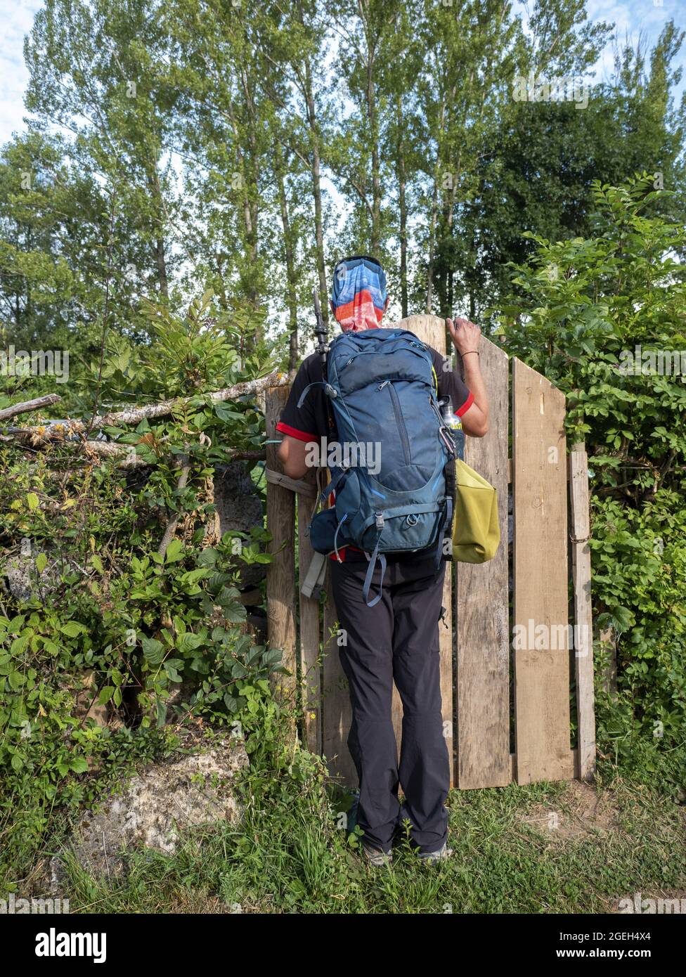 Vertical shot of a Caucasian male hiking in the forest and standing in ...