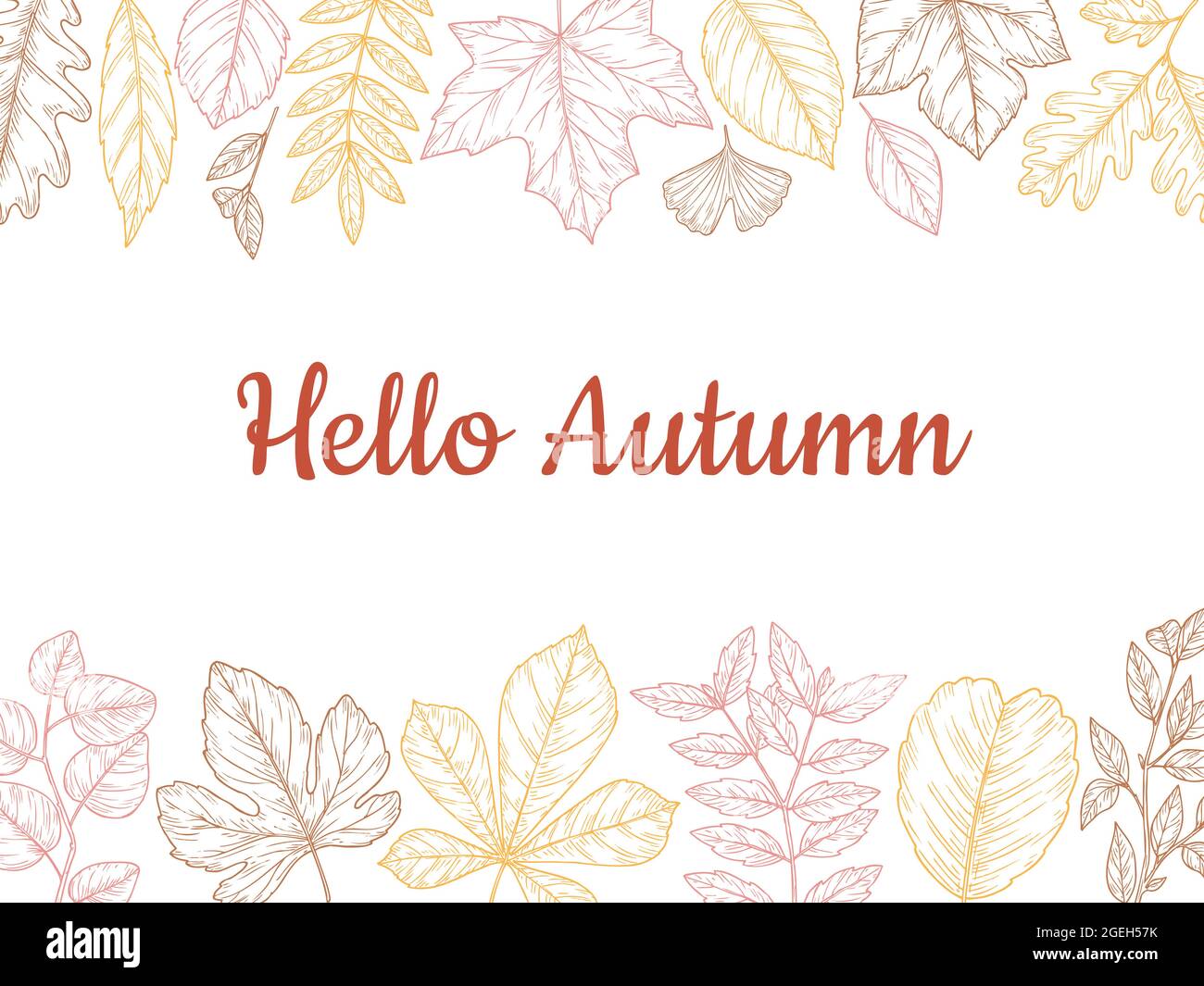 November Leaves Border