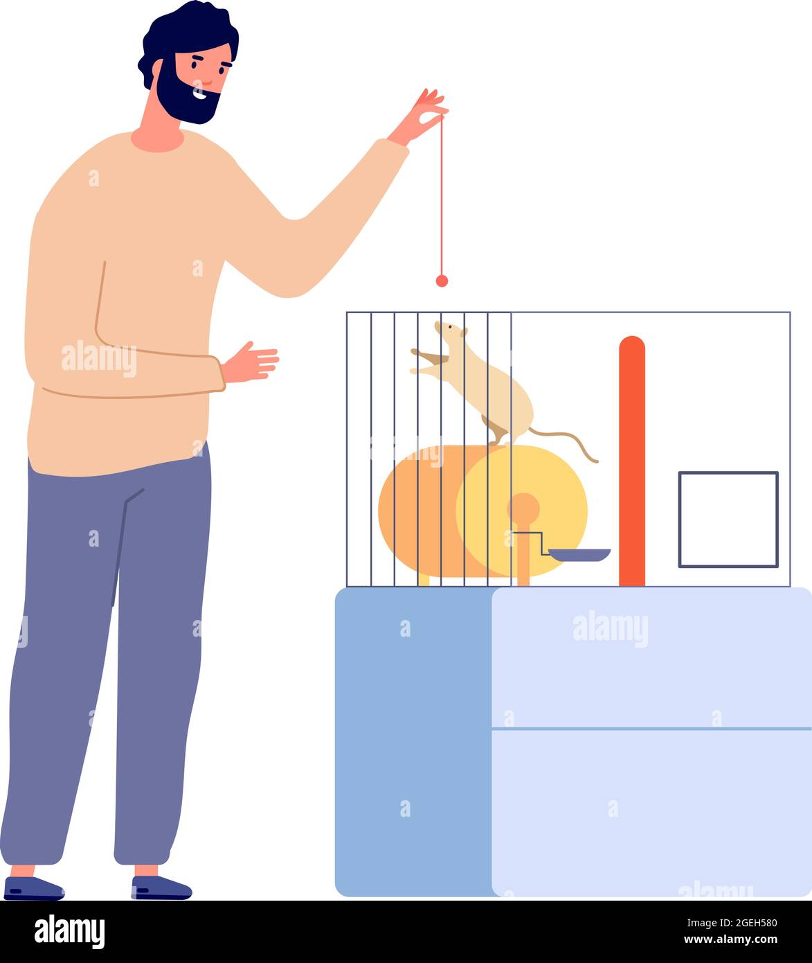 Man plays with rat. Pets, white rodent in cage. Isolated home animal ...