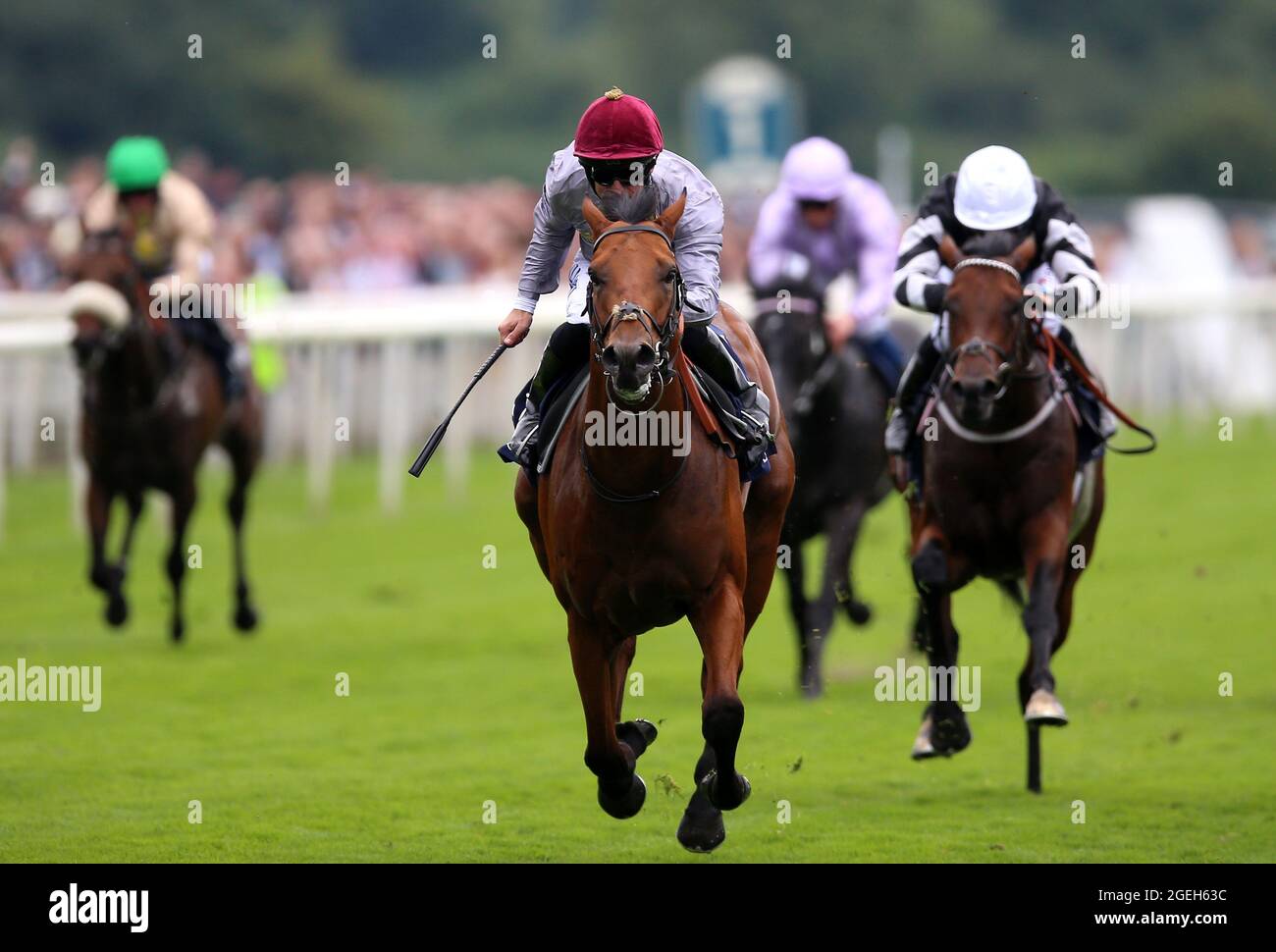 Nigel dobbs hi-res stock photography and images - Alamy