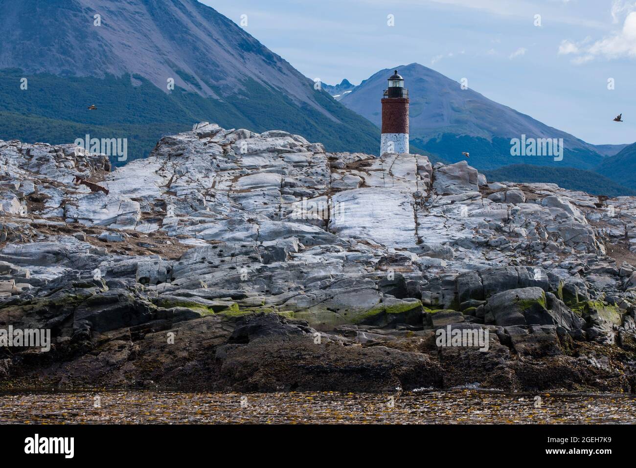 Bird Island in the Beagle Channel near the Ushuaia city. Ushuaia is the ...