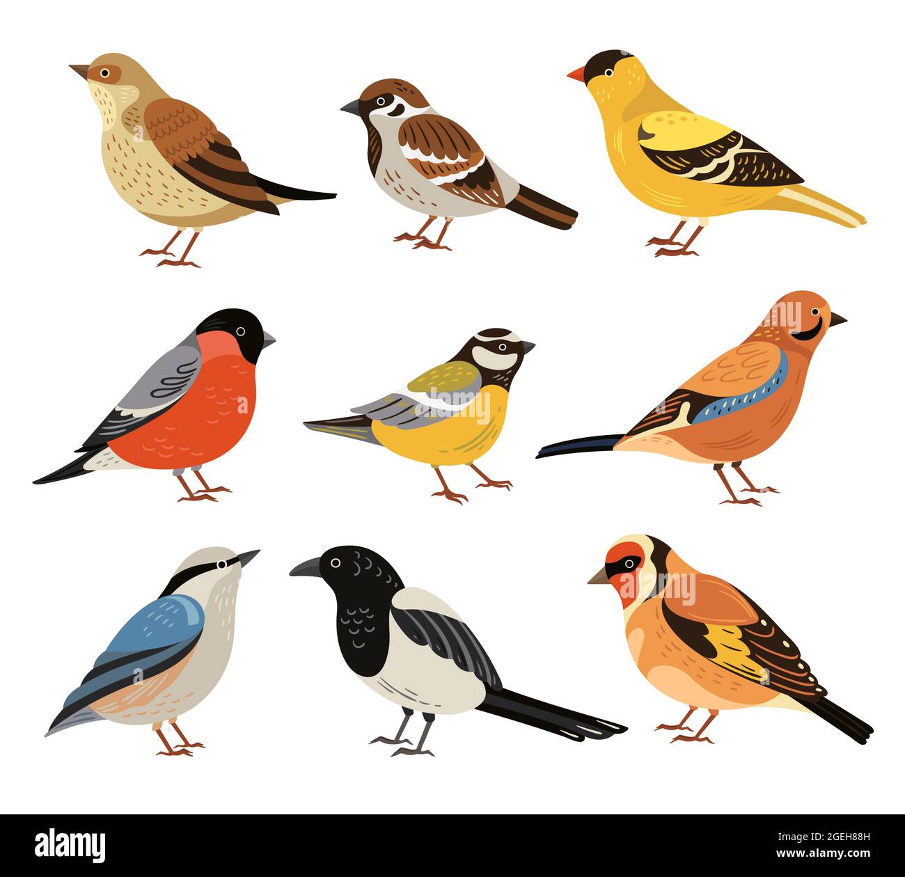 Winter birds. Isolated wild bird, cartoon chickadee bullfinch robin ...