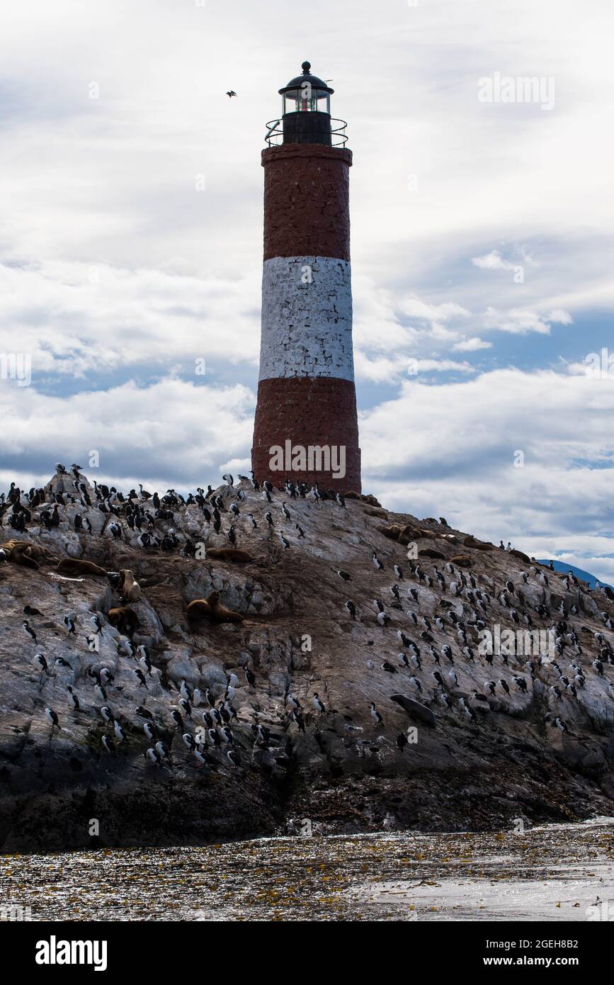 Bird Island in the Beagle Channel near the Ushuaia city. Ushuaia is the ...