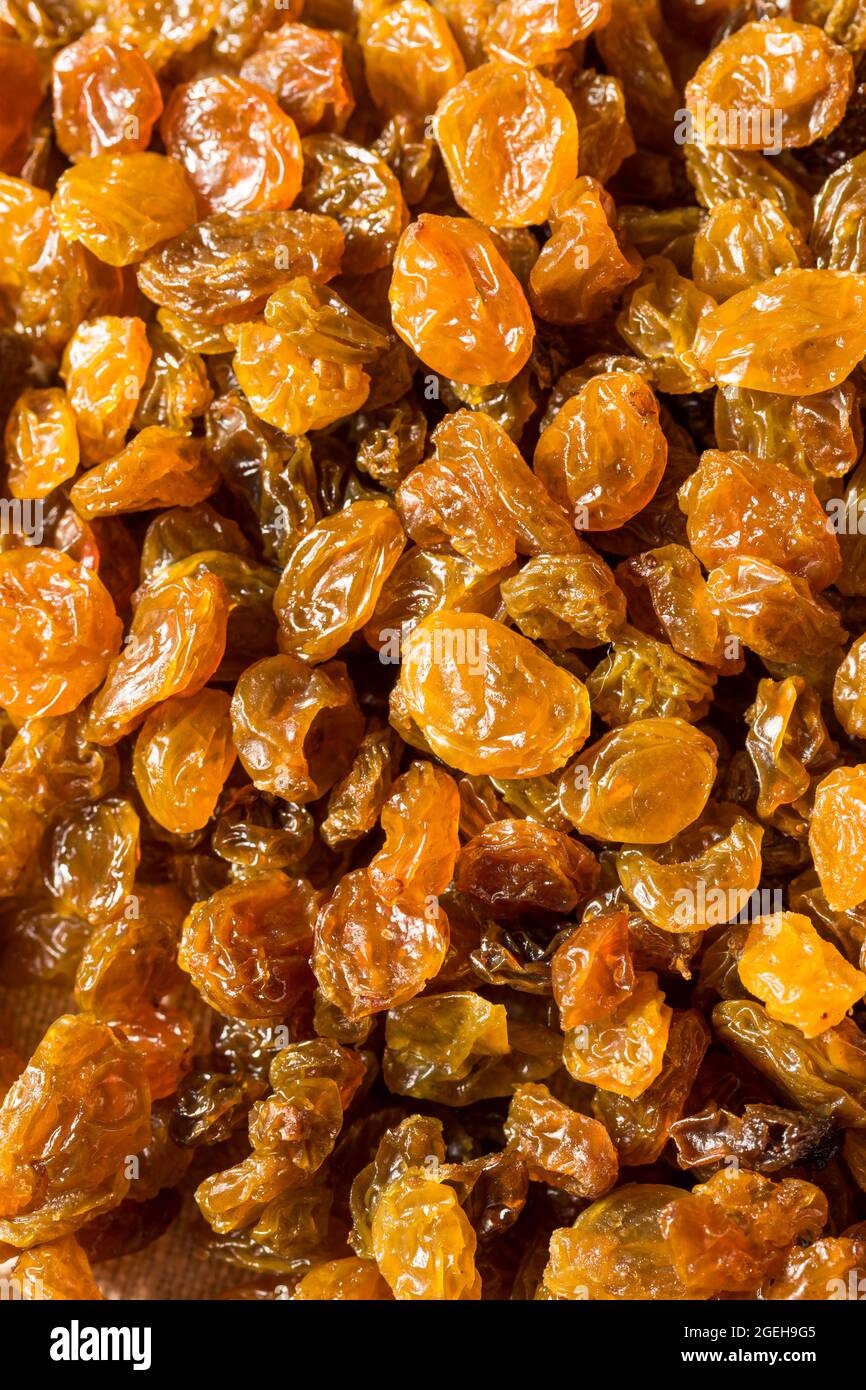 Healthy Organic Golden Raisins in a Bowl Stock Photo - Alamy