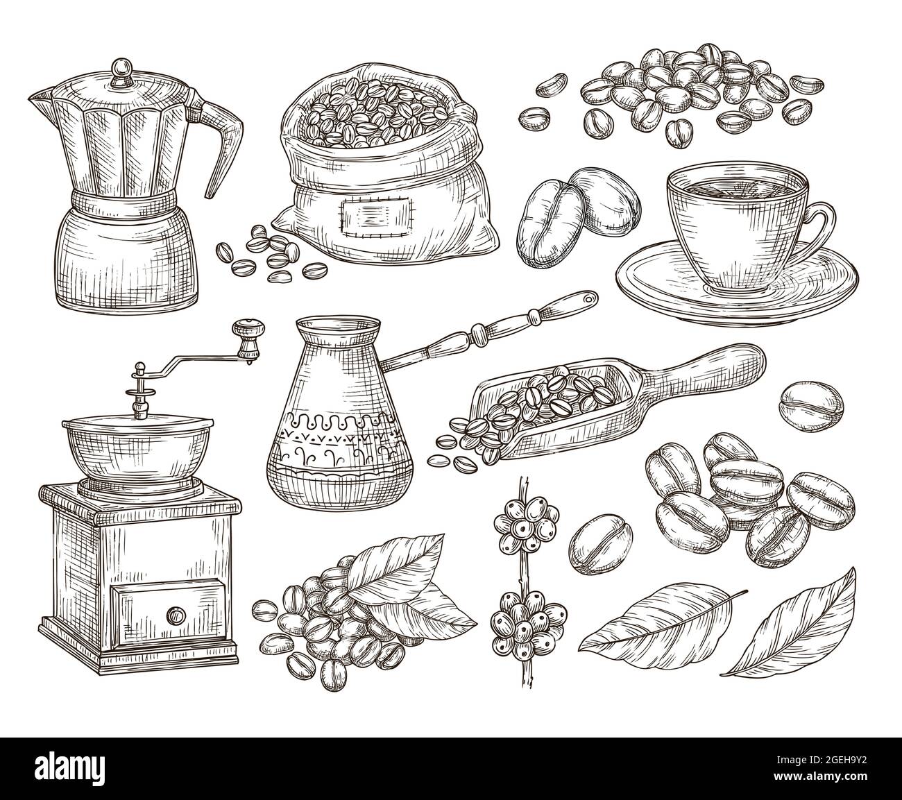 Hand drawn natural coffee. Graphics beans, sketch gourmet morning drink ...