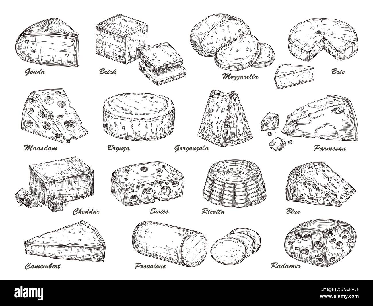 Gouda cheese market edam Stock Vector Images - Alamy