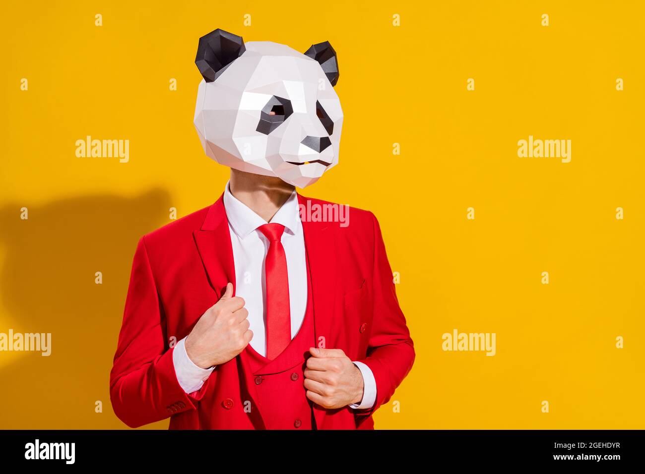 Photo of handsome panda confident pose wear mask head red tuxedo ...