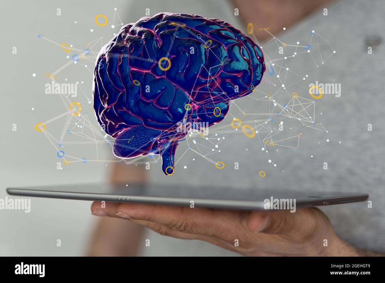 Digital brain render with an interconnected network of lines over a ...