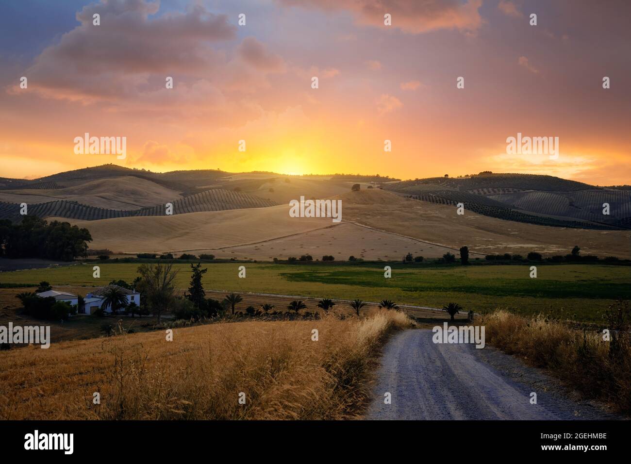 Farm lands during beautiful sunset Stock Photo - Alamy