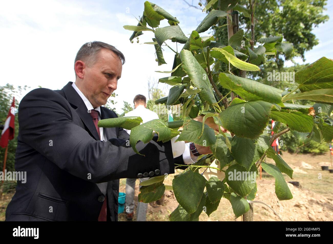 The national leaders tree hi-res stock photography and images - Alamy