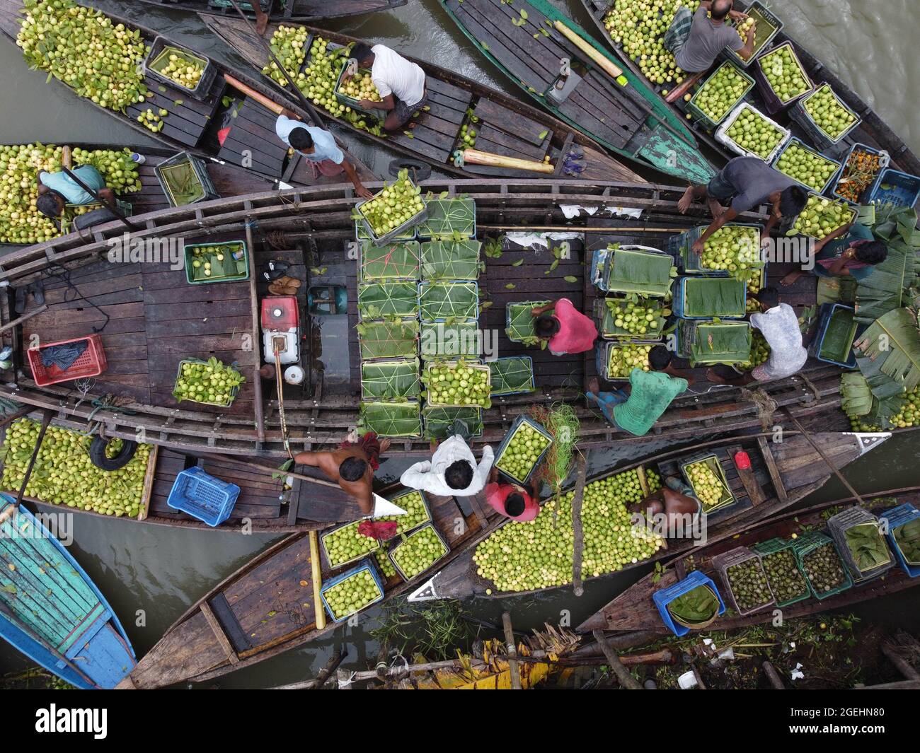 Barishal, Bangladesh. 20th Aug, 2021. Floating Guava Market of ...
