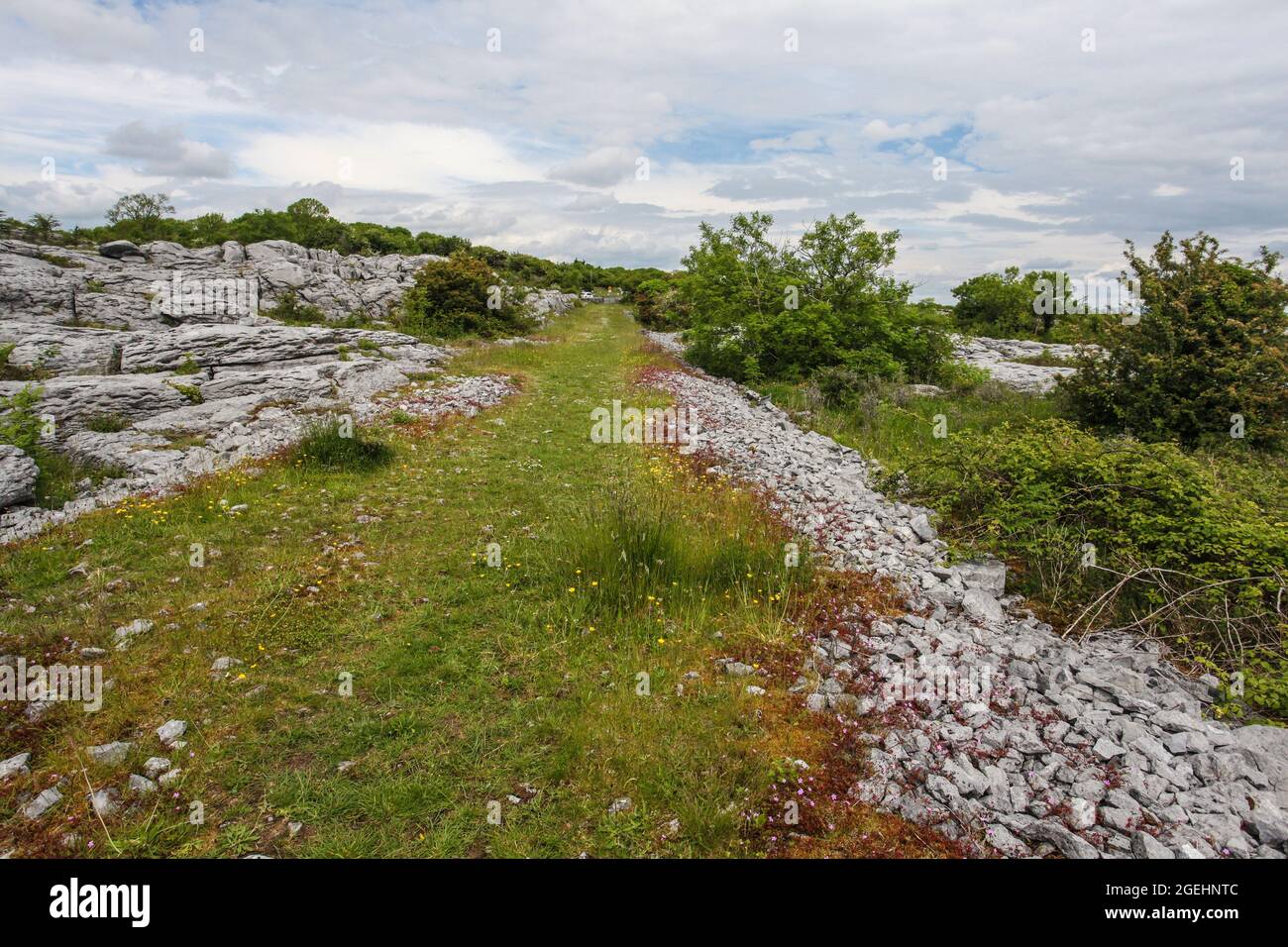 The Burren National Park contains examples of all the major habitats ...