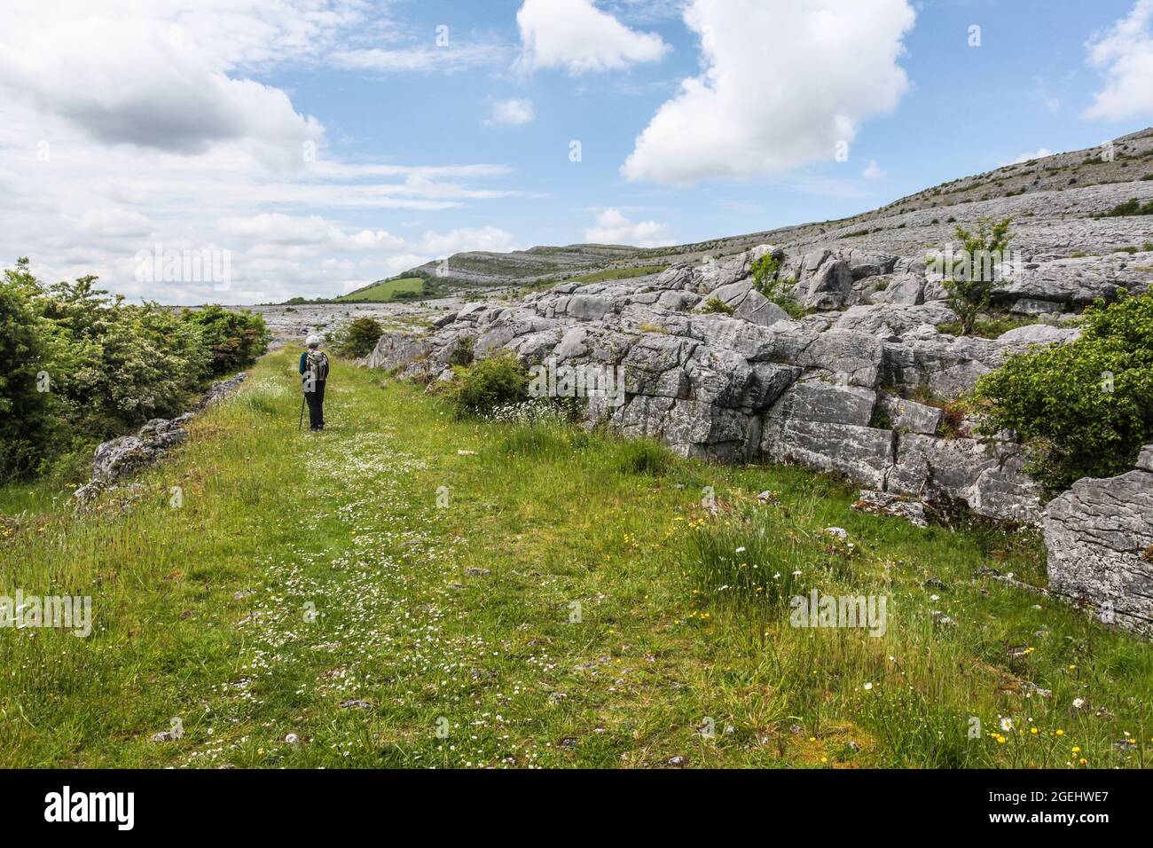 Drumlins geography hi-res stock photography and images - Alamy