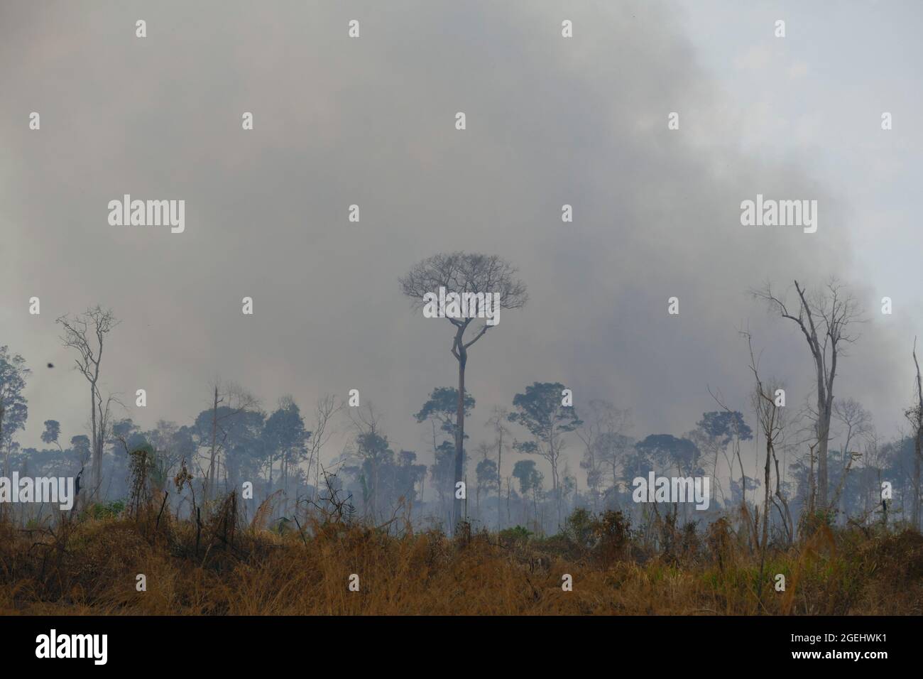 TAPAUÁ, AM, BRAZIL - 08.18.2021: SMOKE FROM THE BURNS ON BR319 AM ...