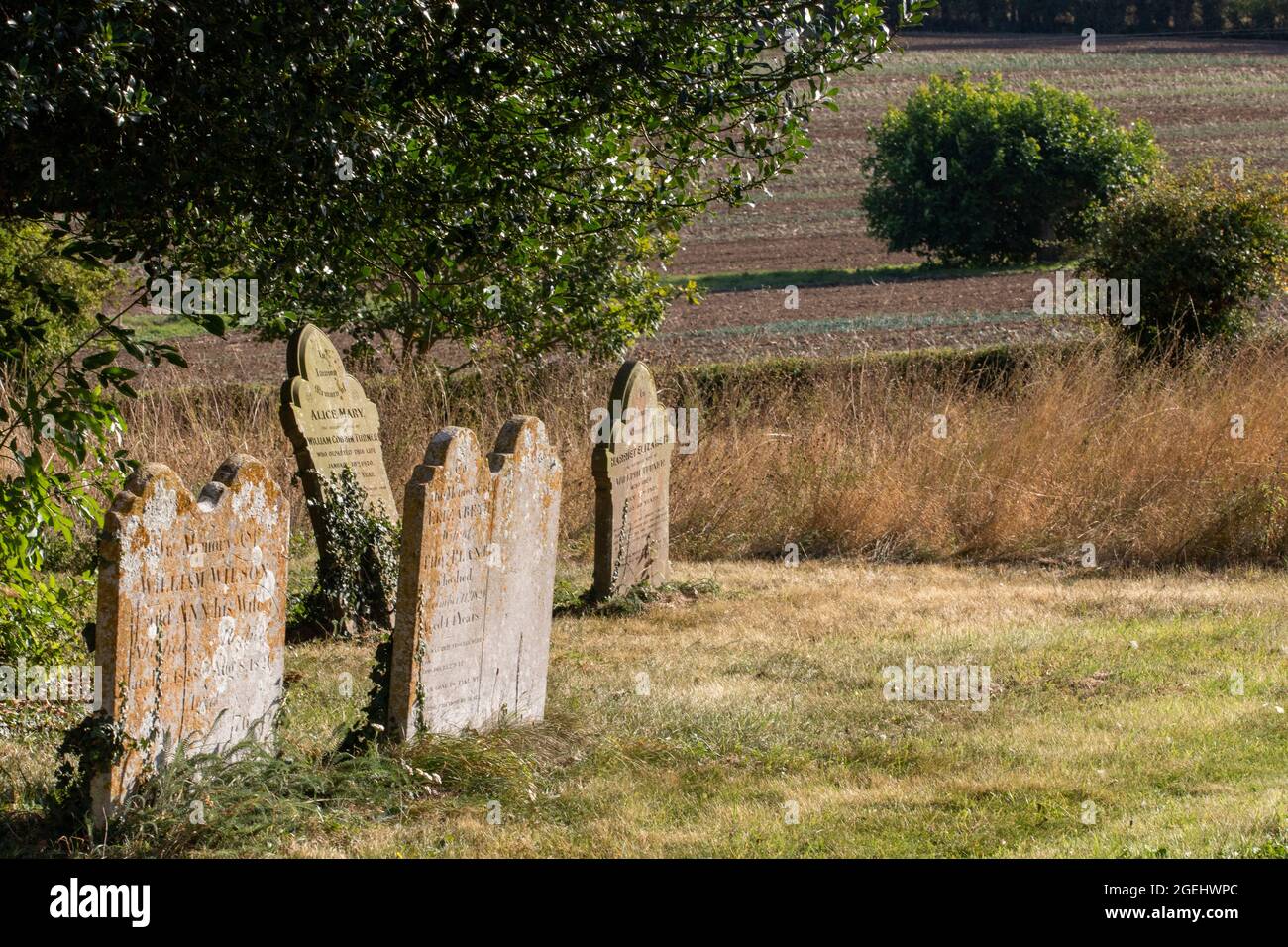 Four gravestones in a Suffolk village and afternoon sunshine Stock ...