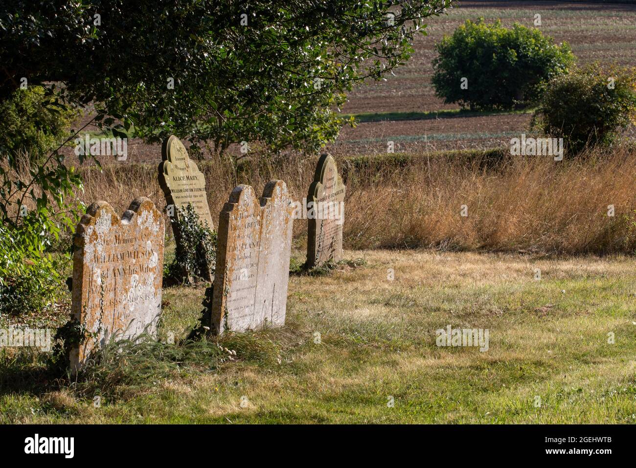 Four gravestones in a Suffolk village and afternoon sunshine Stock ...