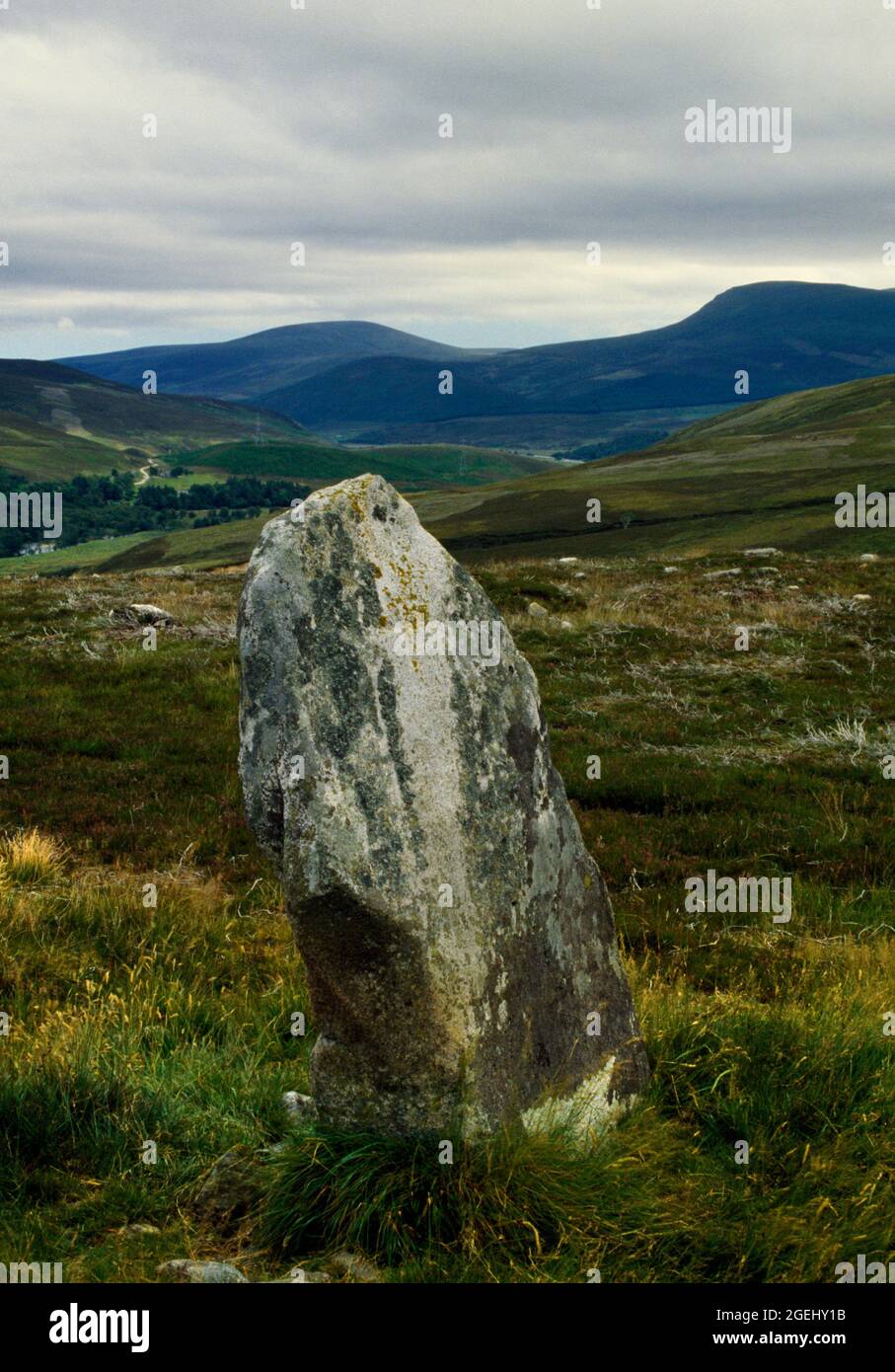 Learable Hill prehistoric standing stone & stone rows looking SSE down ...