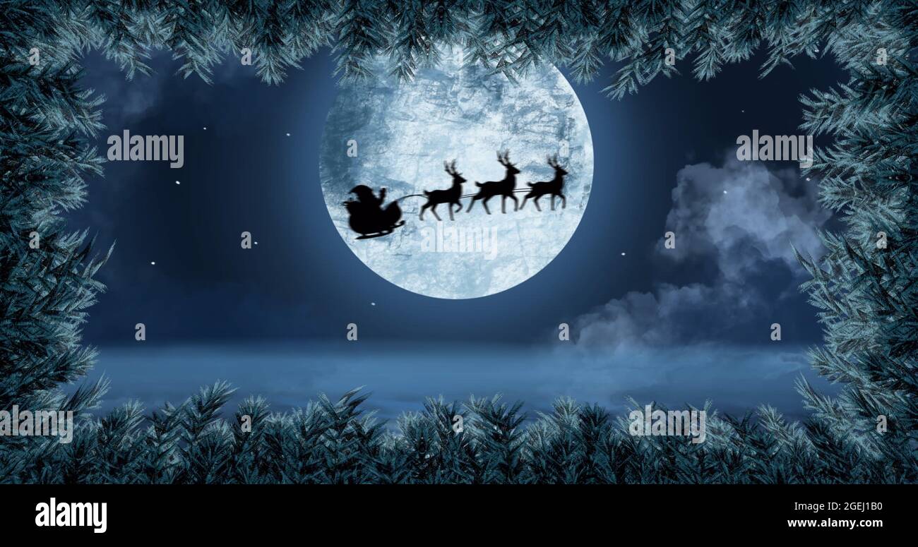 Leaf forming into a tree hi-res stock photography and images - Alamy