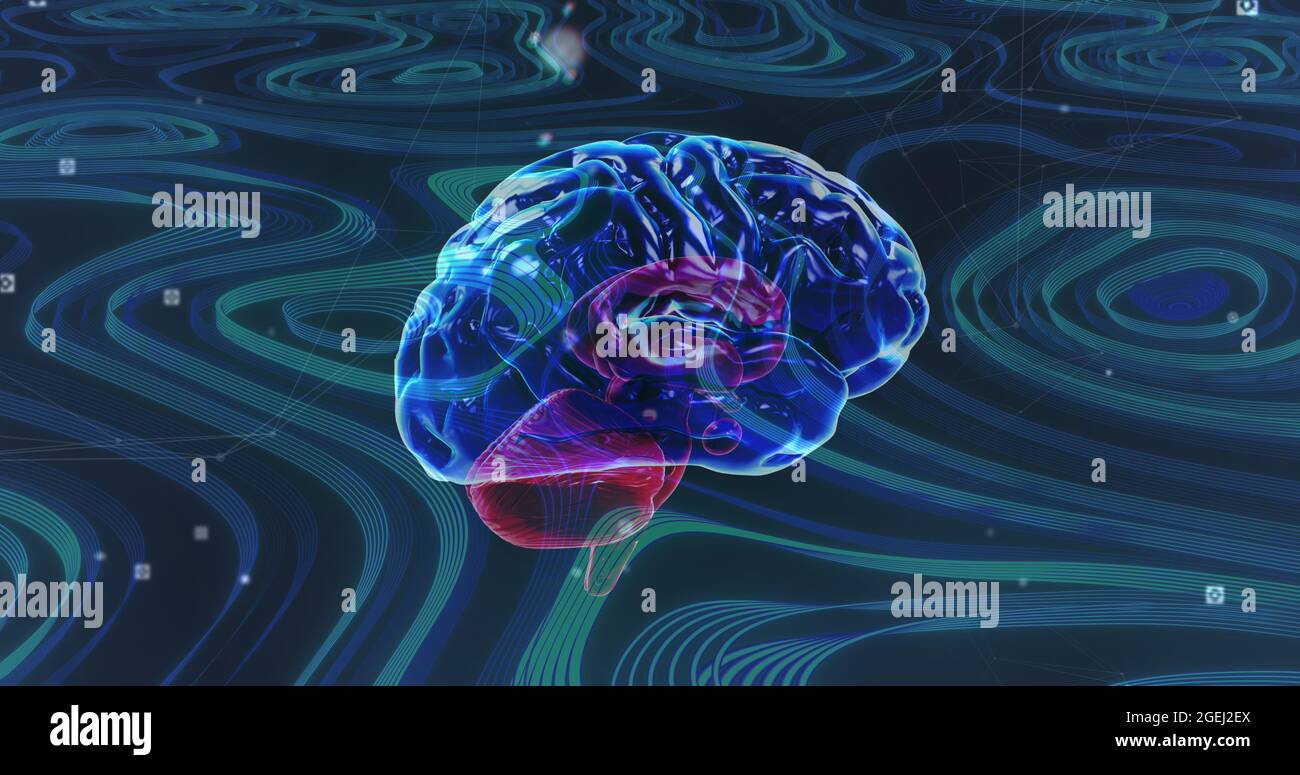 Image of transparent blue brain rotating on green background with ...