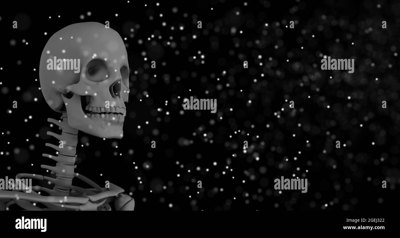 Digital image of dna structure spinning against human skeleton model on ...