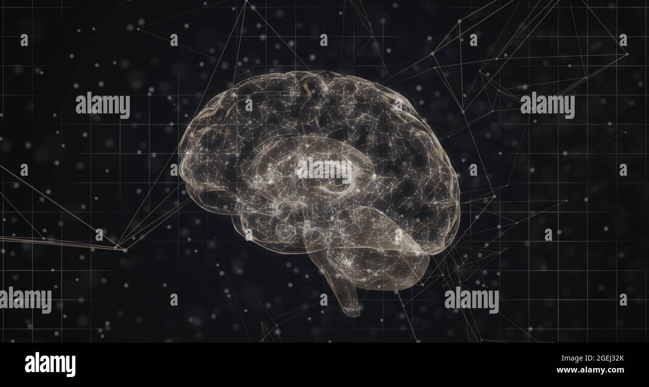 Digital image of human brain and dna structure spinning against network ...