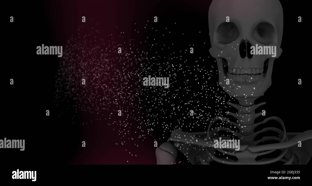 Structure of dna model hi-res stock photography and images - Alamy