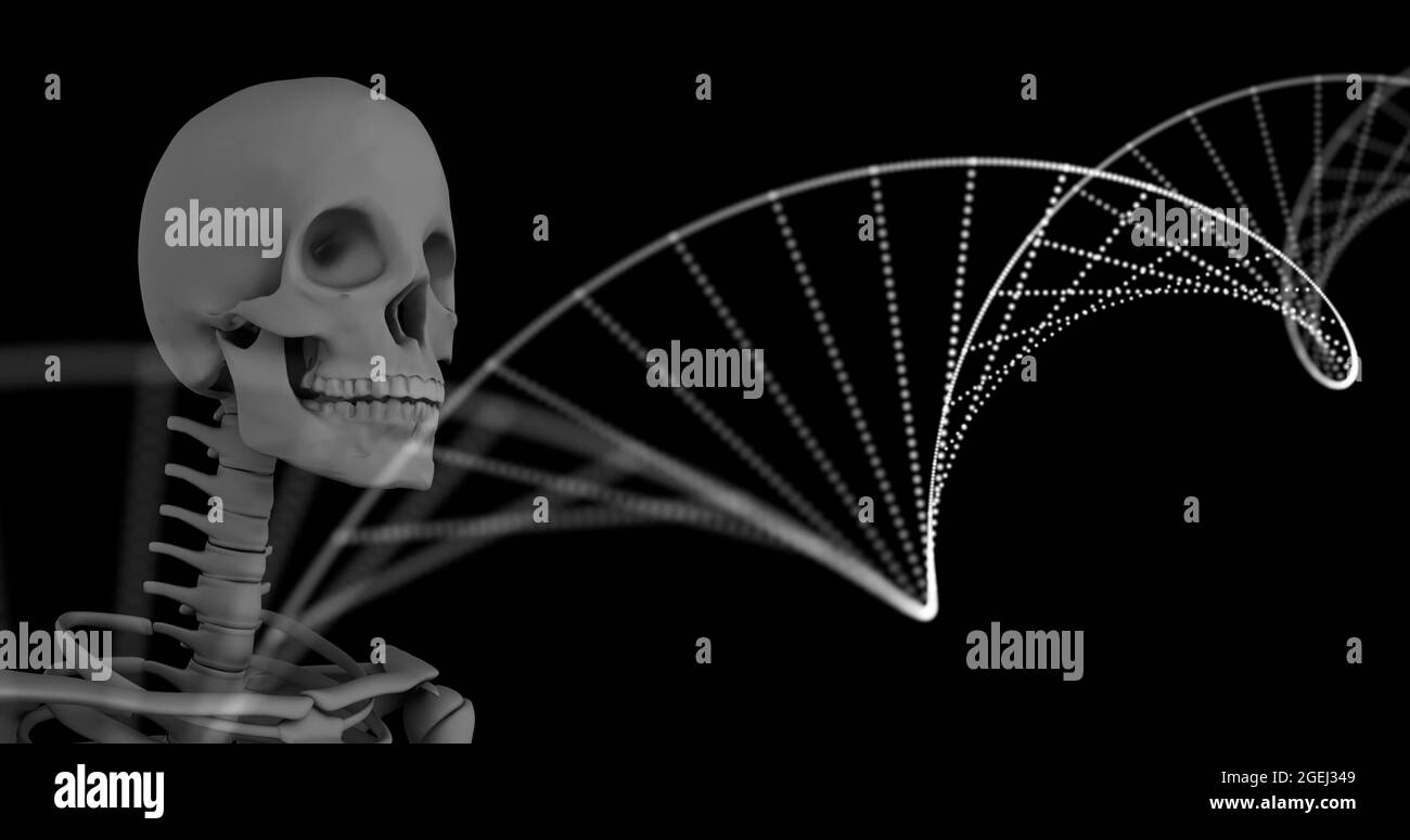 Model of dna Black and White Stock Photos & Images - Alamy
